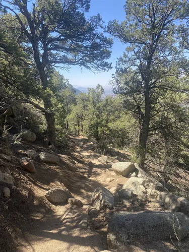 10 Best Waterfall Trails in Sandia Mountain Wilderness | AllTrails