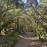 Point Defiance Park Inner Loop, Washington - 970 Reviews, Map | AllTrails