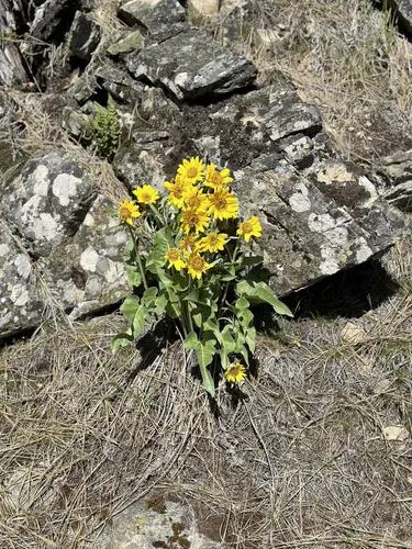 Best Hikes and Trails in Hauser Conservation Area | AllTrails