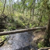 Mima Falls Loop, Washington - 1,602 Reviews, Map | AllTrails