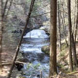 Hackers Falls and Cliff Trail Loop, Pennsylvania - 1,829 Reviews, Map ...