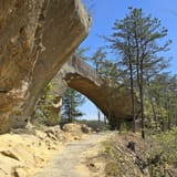 Sky Bridge Trail, Kentucky - 2,466 Reviews, Map | AllTrails