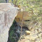 Sky Bridge Trail, Kentucky - 2,466 Reviews, Map | AllTrails