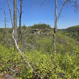 Sky Bridge Trail, Kentucky - 2,466 Reviews, Map | AllTrails