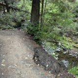 Bootjack Loop, California - 1,798 Reviews, Map | AllTrails