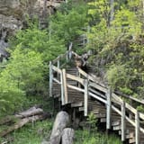 Maquoketa Caves Loop, Iowa - 820 Reviews, Map | AllTrails