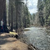Carlon Falls Trail, California - 1,214 Reviews, Map | AllTrails