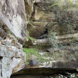 Muir Valley Trails, Kentucky - 113 Reviews, Map | AllTrails