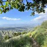 Towsley Canyon Loop Trail, California - 3,851 Reviews, Map | AllTrails