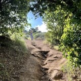 Towsley Canyon Loop Trail, California - 3,851 Reviews, Map | AllTrails