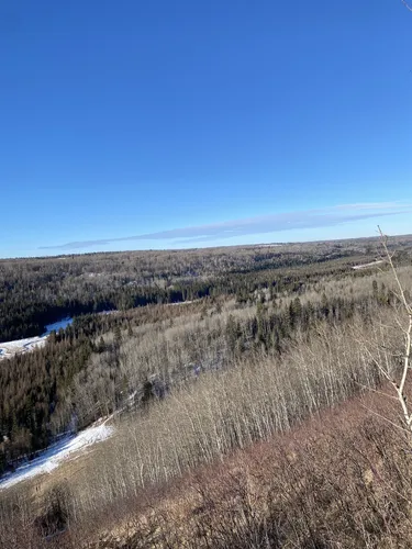 Best Forest Trails in Poplar Bay | AllTrails