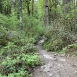 Camas Potholes and Waterfall Loop via Lake to Lake Trail, Washington ...