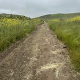 Quail Loop Trail, California - 1,692 Reviews, Map | AllTrails