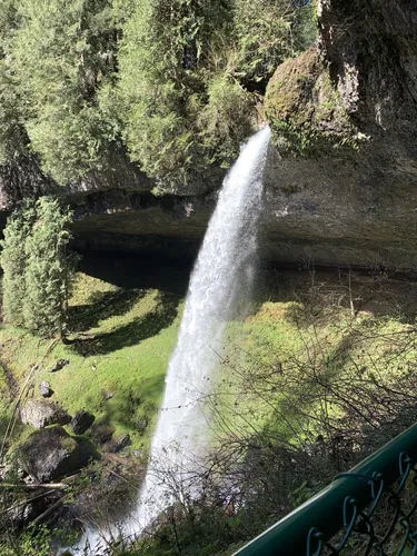 Best Waterfall Trails in Mehama | AllTrails