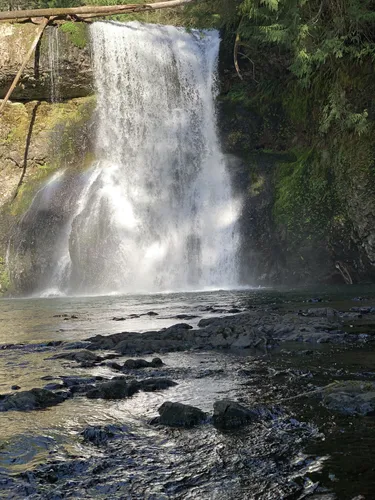 Best Waterfall Trails in Mehama | AllTrails