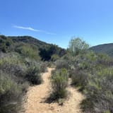 Sespe River Trail To Sespe Hot Springs, California - 287 Reviews, Map ...