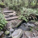 The Canyon (Lorne Waterfalls Circuit), Victoria, Australia - 627 ...