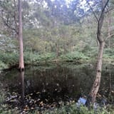 Middle Kobble Creek Falls , Queensland, Australia - 250 Reviews, Map ...