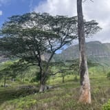 The Pekoe Trail Stage 01: Hanthana To Galaha, Kandy, Sri Lanka - 189 ...