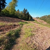 BPA Trail, Washington - 449 Reviews, Map | AllTrails