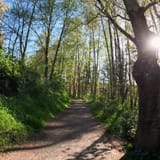 BPA Trail, Washington - 449 Reviews, Map | AllTrails