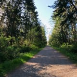 BPA Trail, Washington - 449 Reviews, Map | AllTrails