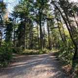 BPA Trail, Washington - 449 Reviews, Map | AllTrails