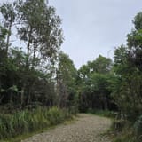 Taggerty River Lookout Loop, Victoria, Australia - 61 Reviews, Map ...