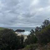 Bushranger Bay Walk, Victoria, Australia - 270 Reviews, Map | AllTrails