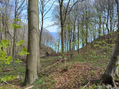 Bedste gåruter i Møns Klint | AllTrails