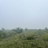 Dunbar Historical Lake East and West Loop, Texas - 204 Reviews, Map ...