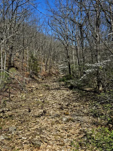 Best Hikes and Trails in Fort Leonard Wood | AllTrails