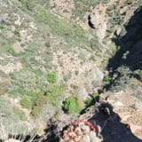 Barnhardt Trail Waterfall, Arizona - 928 Reviews, Map | AllTrails