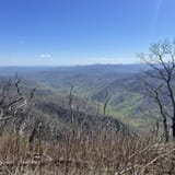 Appalachian Trail: Deep Gap to Dicks Creek, North Carolina - 84 Reviews ...