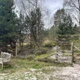 The Drake Stone and Harbottle Castle Circular, Northumberland, England ...