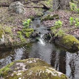 Barn Island Wildlife Management Area Trail, Connecticut - 715 Reviews ...