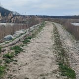 Barn Island Wildlife Management Area Trail, Connecticut - 715 Reviews ...