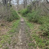 Barn Island Wildlife Management Area Trail, Connecticut - 715 Reviews ...
