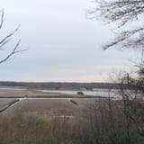 Barn Island Wildlife Management Area Trail, Connecticut - 715 Reviews ...