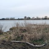 Barn Island Wildlife Management Area Trail, Connecticut - 715 Reviews ...