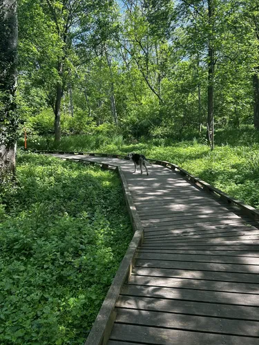 Best Short Trails in Conestee Nature Preserve | AllTrails