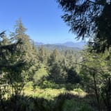 Clatsop Loop Trail from Indian Beach, Oregon - 2,667 Reviews, Map ...