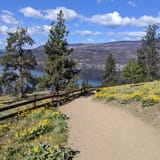 Knox Mountain via Apex Trail, British Columbia, Canada - 1,905 Reviews ...