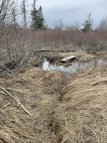 Best Hikes and Trails in Machias | AllTrails