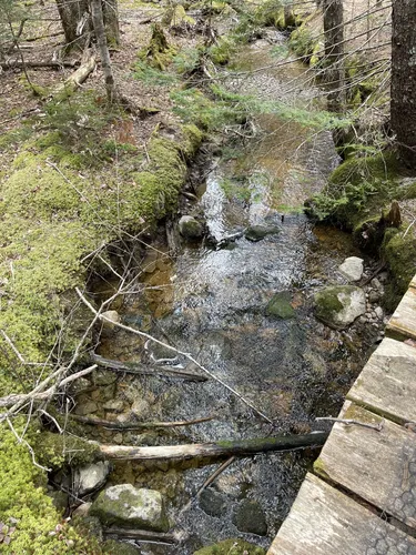 Best Hikes and Trails in Machias | AllTrails