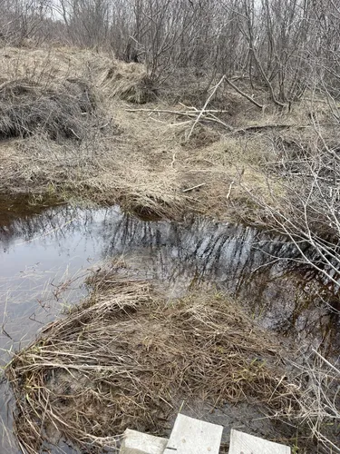 Best Hikes and Trails in Machias | AllTrails