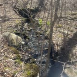 Benedict Pond Loop Trail, Massachusetts - 695 Reviews, Map | AllTrails