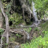 Gorman Falls Trail, Texas - 1,125 Reviews, Map | AllTrails