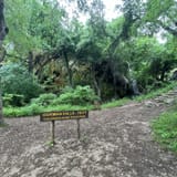 Gorman Falls Trail, Texas - 1,125 Reviews, Map | AllTrails