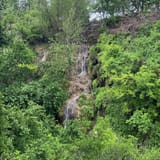 Gorman Falls Trail, Texas - 1,125 Reviews, Map | AllTrails